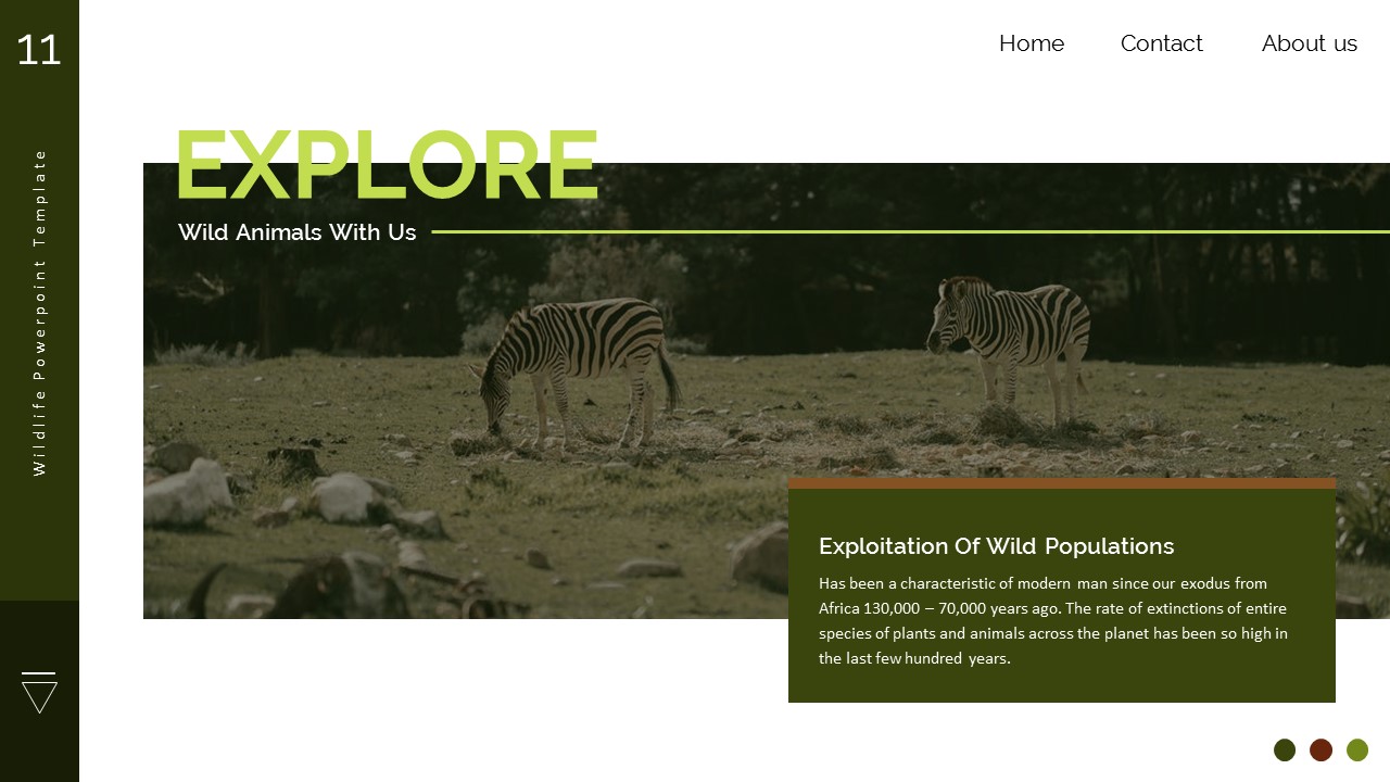 Wildlife Animal Presentation Template CiloArt